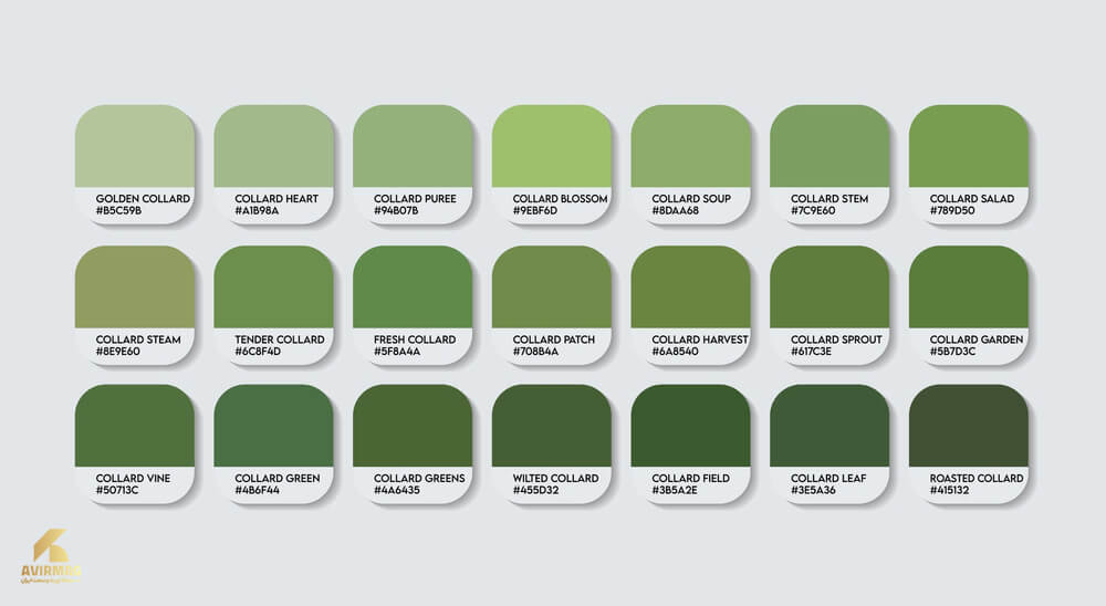 انواع رنگ سبز: معرفی +30 رنگ سبز طیف وسیع 🟢